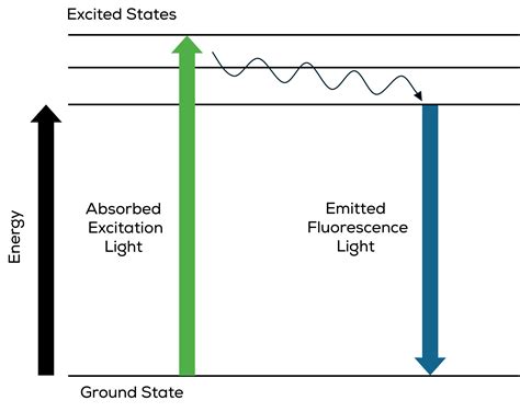Dye Based Fluorescence Quantification Unchained Labs