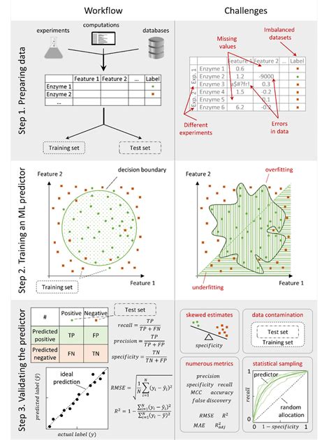 Schematic Workflow Of Constructing An ML Predictor And Associated Download Scientific Diagram