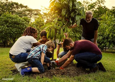 Group Of People Planting A New Tree Free Image By