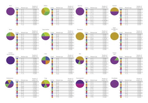 Pie Chart Showing The Percentage Of The Different Mutation Types Of Download Scientific Diagram