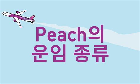 운임의 종류 운임표 Peach Aviation