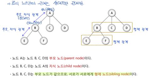 ch8 트리 tree 1 1 트리의 개요 · seongkyun han s blog
