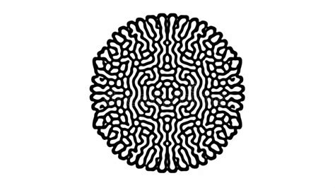 Reaction Diffusion Organic Pattern Cell Division Stock Illustration