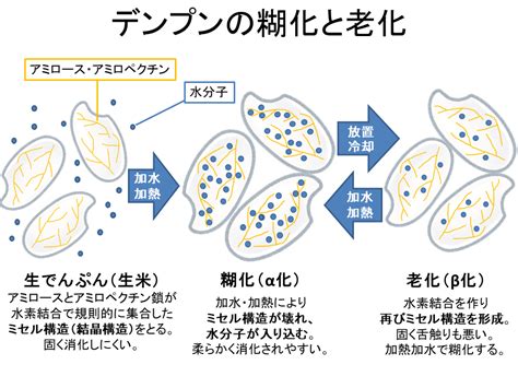 Images Of Japaneseclass Jp