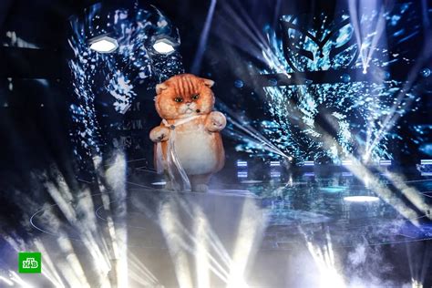 Кто победил на шоу Маска в пятом сезоне итоги финала шоу Маска 5 мая 2024 года