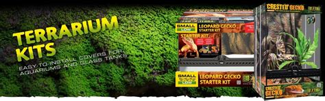 Habitat Kit Rainforest Medium