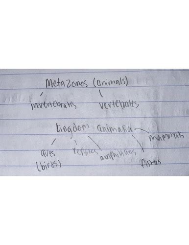 Biology 11 Flashcards Quizlet