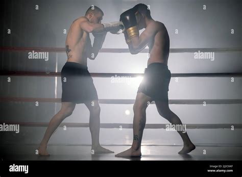 Martial Arts Fighting Ring At Violet Charette Blog