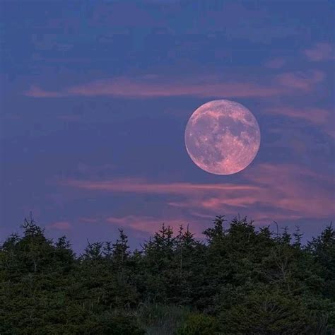 梅西缺阵，奥兰多城4 1大胜迈阿密国际，主场强势全取三分，马丁·奥杰达比分扬尼克·布莱特