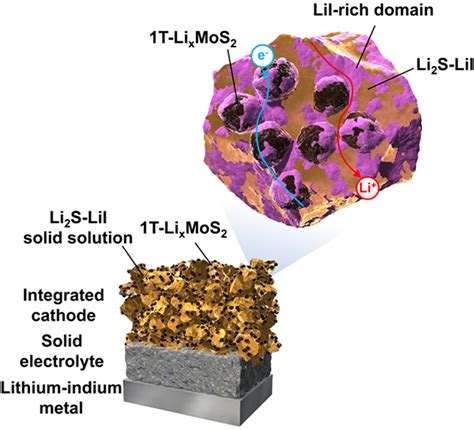 An Electron Ion Dual Conductive Integrated Cathode Using Cationic Anionic Redox For High‐energy