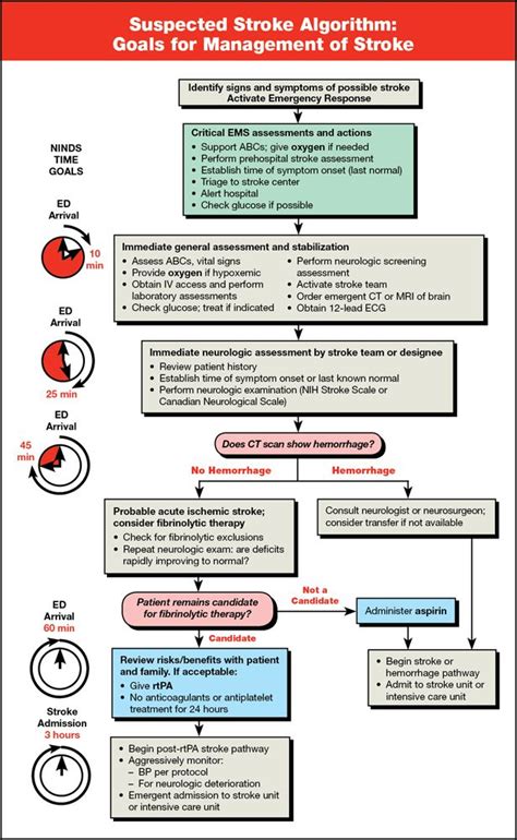 Suspected Stroke Algorithm Card 25 Pk 90 1024 Emergency Nursing