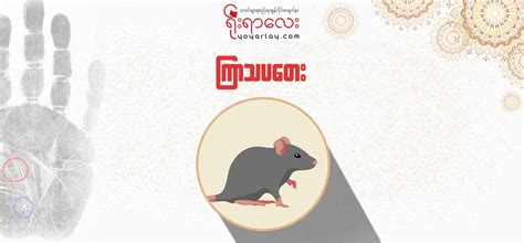 အပတ်စဉ်ဗေဒင်ဟောစာတမ်းကဏ္ဍ ၂၆ ၅ ၂၀၁၉ မှ ၁ ၆ ၂၀၁၉ ရက်နေ့အထိ Yoyarlay Digital Media And News