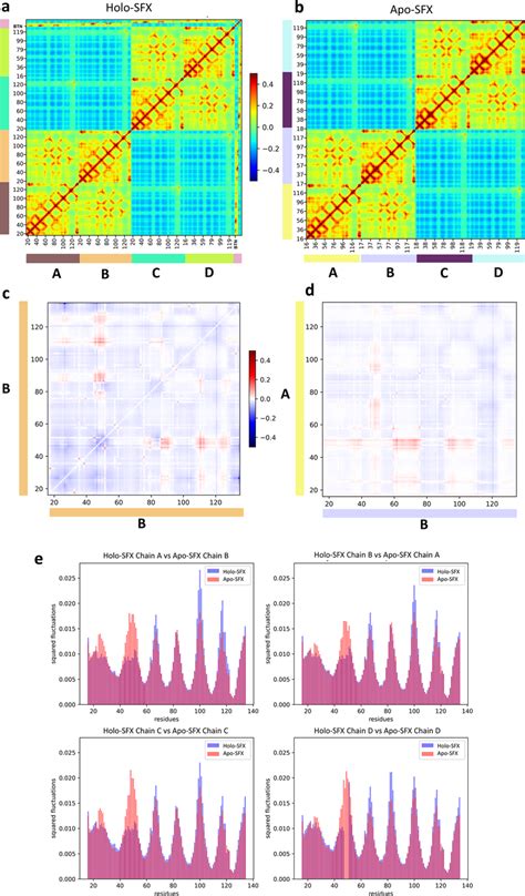 Gaussian Network Model Gnm Analysis Results For Apo Sfx And Holo Sfx Download Scientific