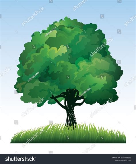 Green Tree Grass Vector Outline Illustration Stock Vector Royalty Free 2167388861 Shutterstock