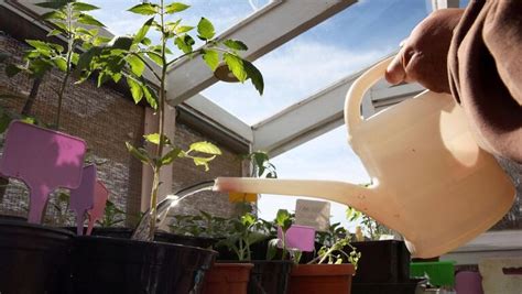 Лунный календарь огородника и садовода на апрель 2024 список посевных дней месяца Погода Mail