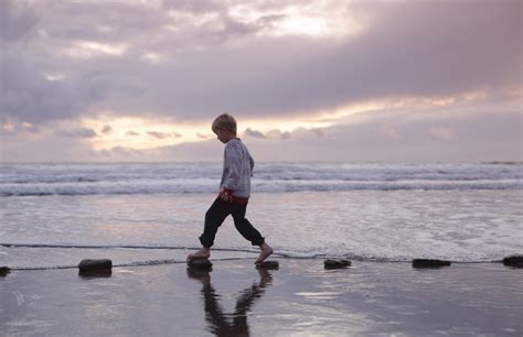 Cambridge Primary Computing Learners Book 2 With Digital Access 1 Year By Cambridge