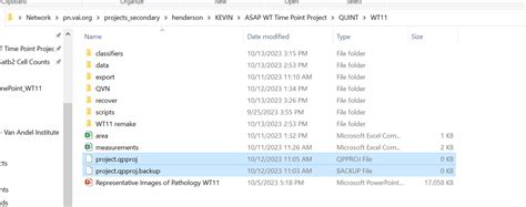 Empty Qupath Proj And Empty Backup Error Loading Project Usage And Issues Imagesc Forum