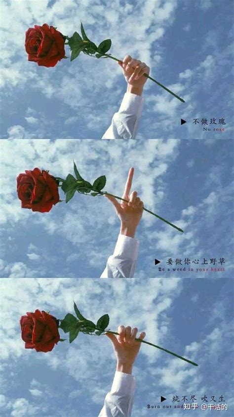 军婚 求文 知乎
