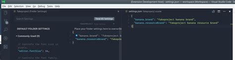 resource setting decoration doesn t show up when opening `settings json