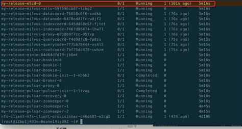 Bug Failed To Deploy The Stand Alone Version Of Etcd That Comes With