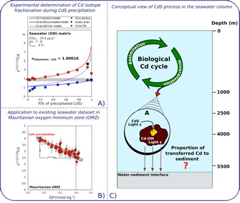 Cadmium Isotopes Tracers Of The Cadmium Sequestration As Cadmium Sulphide In Oxygen Minimum