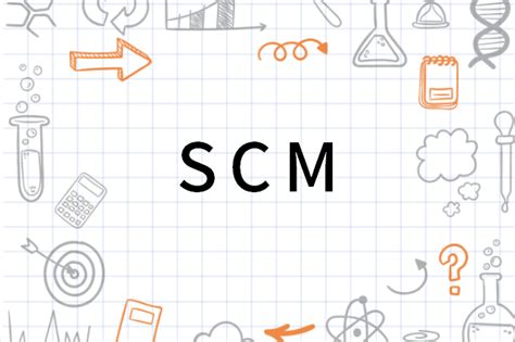 Scm 软件配置管理 搜狗百科