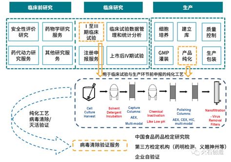 我国病毒清除灭活验证行业发展研究凤凰网