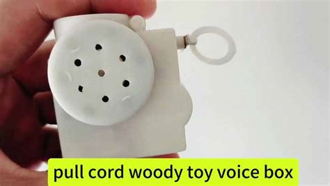 Toy Story Woody Doll With Custom Talking Voice Box Pull String