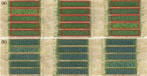 Data Extraction Using Plot A And Grid B Boundaries Download