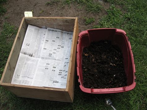 Wewantrugby Worm Composting 101