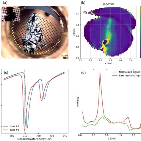 Signals And Spectra From A Fe Thin Film Sample Using Tribs Download Scientific Diagram