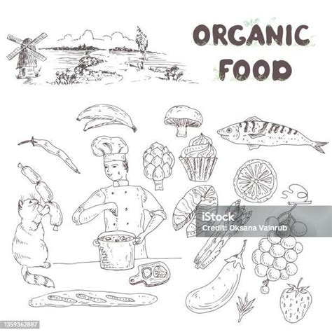 방앗간 풍경 바나나 아티초크 아스파라거스 포도 딸기 레몬 생선 버섯 구운 식품의 벡터 일러스트 요리사가 수프를 준비합니다 건강한 식생활에 대한 스톡 벡터 아트 및 기타
