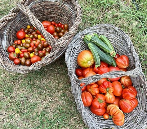 Tomatoes Bread Elizabeth Minchilli