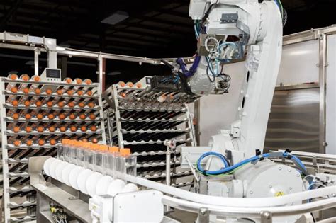 Bottle Palletizing And Handling Glass And Plastic Bottle Palletizing