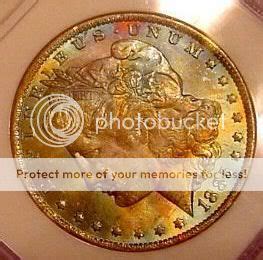 Newps Toned Morgans Arrived Today Collectors Universe