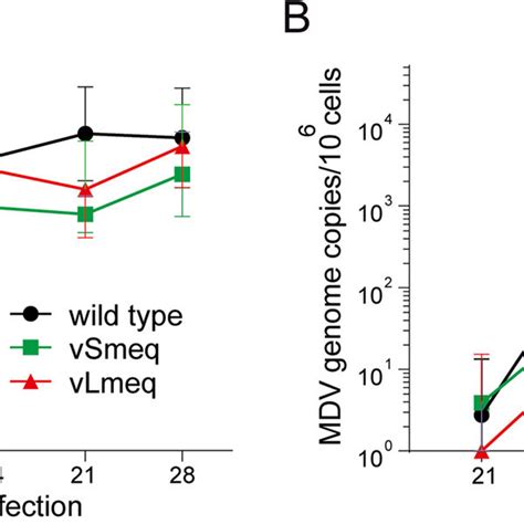 Construction And In Vitro Characterization Of Recombinant Viruses A Download Scientific
