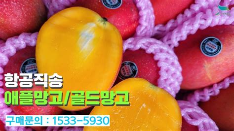 신바람 농산물 협력업체 판매상품 항공직송 애플망고 판매합니다 중고트랙터 중고농기계 경운기 관리기 스키로더 굴삭기 화물트럭 매매 직거래 장터 사이트 Youtube