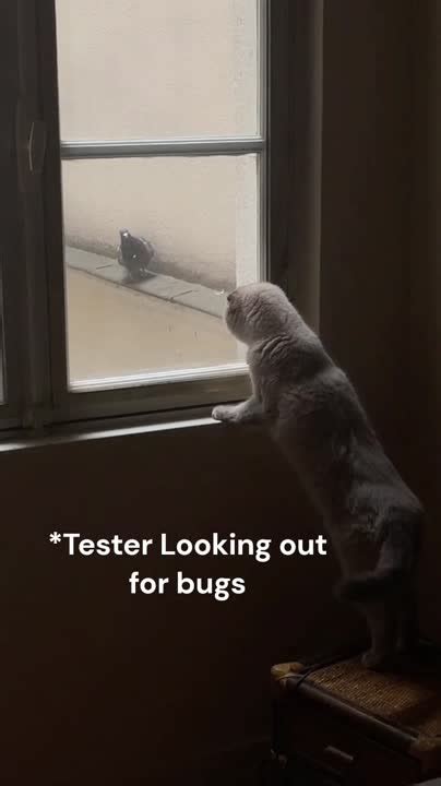 Developers Testers Developersvstesters Devvstesters Testing