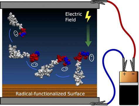 Implantable Medical Devices Bolstered By Next Gen Surface Modification Drug Discovery And