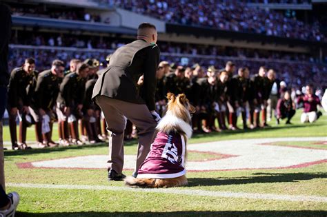 Live With The Double T Sports Network Join Us Live Double T Sports