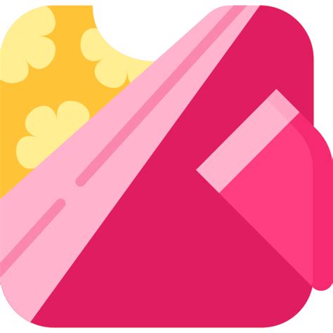 Sari Special Flat Icon