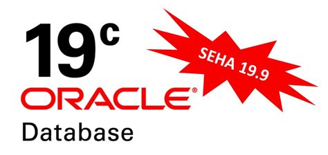 Oracle Real Memory Usage Gotodba