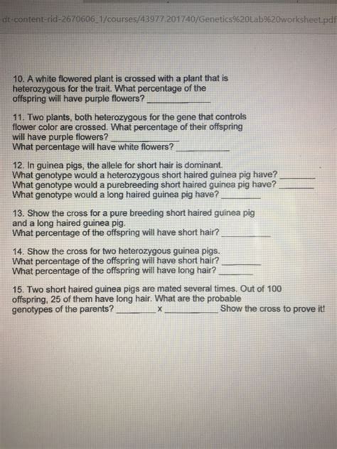 Solved Cs Lab Worksheet 8 Dt Content Rid 2670606 1 Chegg Com