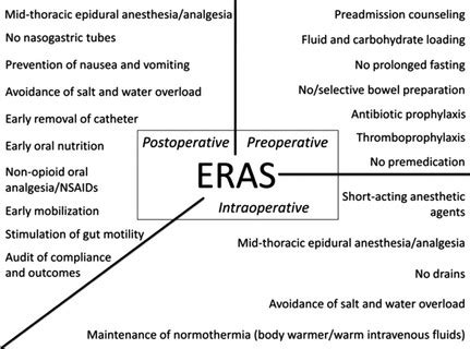 Eras Elements Reproduced From Varadhan Kk Et Al With Permission 105