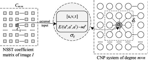 An Cnp System Π And The Corresponding Lowfrequency Nsst Coefficient