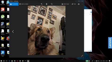 Django Uploaded Images Come Up Too Big On The Pages Stack Overflow