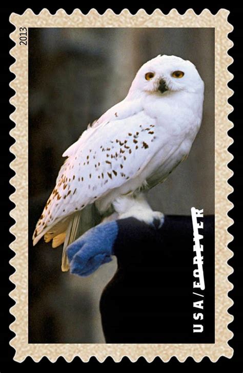 Hedwig The Owl United States Postage Stamp Harry Potter
