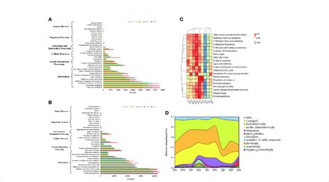 Predicted Functional Profiles For Bacterial Community By Picrust And Download Scientific