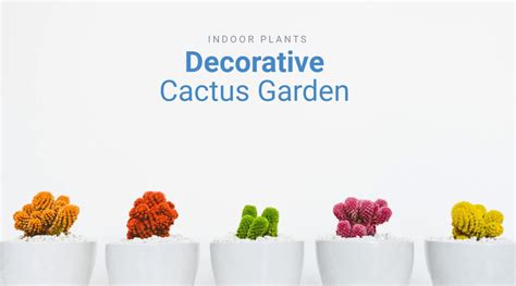 decorative cactus garden website template by nicepage