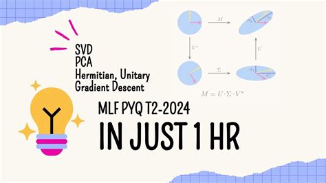 mlf quiz 2 pyq t2 2024 detailed solution iitm bs data science machine learning